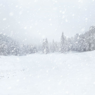 Historic September Snow Storms Slam the West - The National Digest