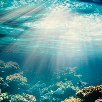 $63 Billion Committed To Help Save Our Planet's Oceans - The National ...