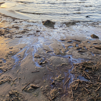 Massive Oil Spill Threatens Wildlife, Forces California's Huntington ...