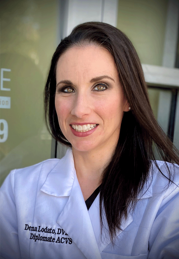 Compassion & Innovation in Veterinary Medicine | Dr. Dena Lodato - The ...